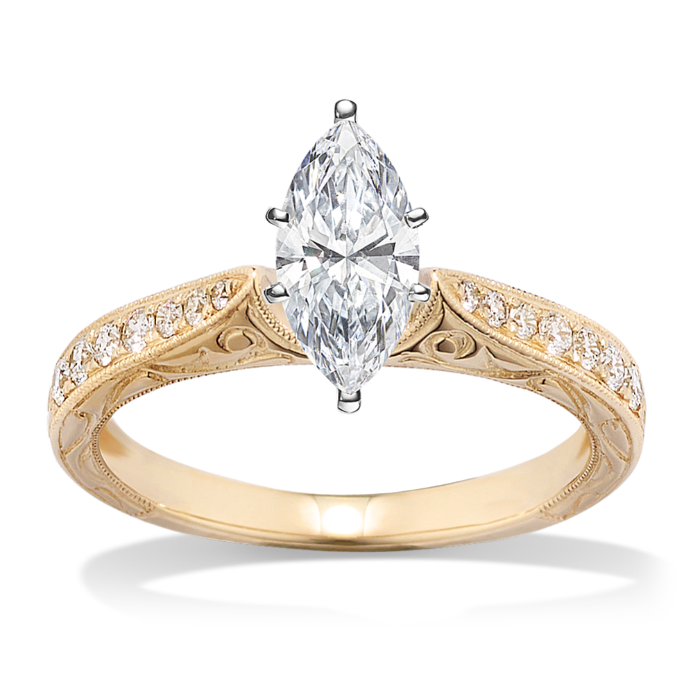 Ornata Cathedral Engagement Ring | Shane Co.