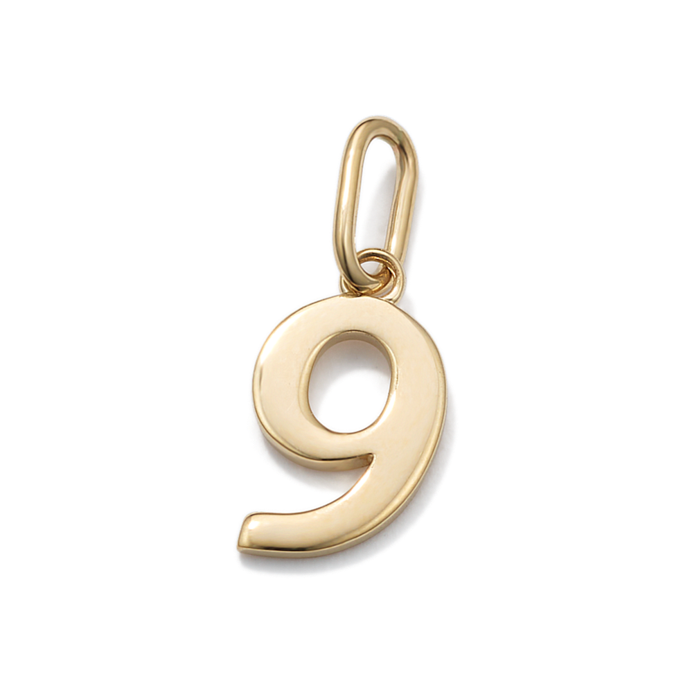 14K Yellow Gold Number 9 Charm | Shane Co.